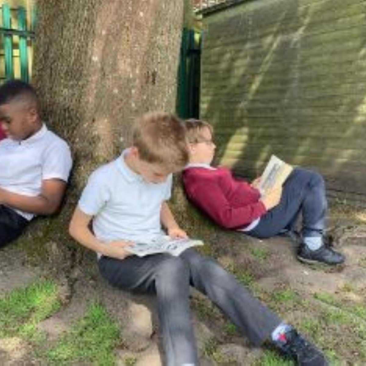 Christ the King Catholic and CofE Primary - Reading in the Sun